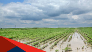 Products | Allstate Farm Insurance